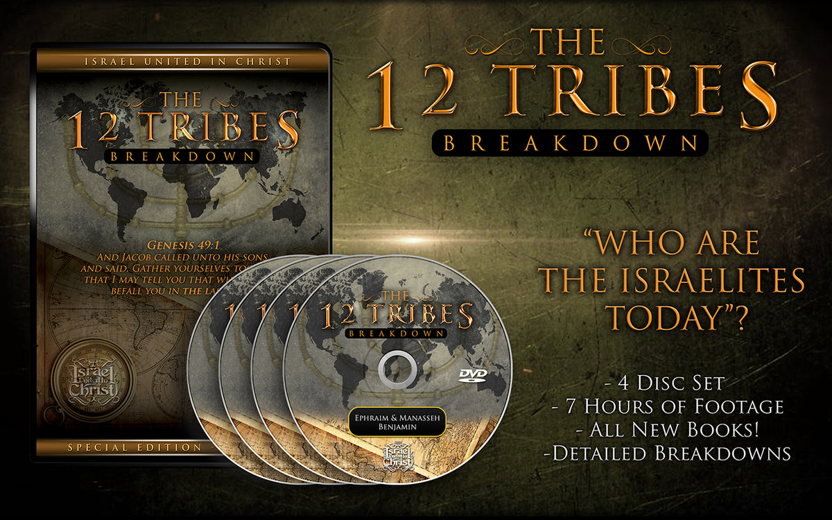 12 TRIBES BREAKDOWN – Original Royalty