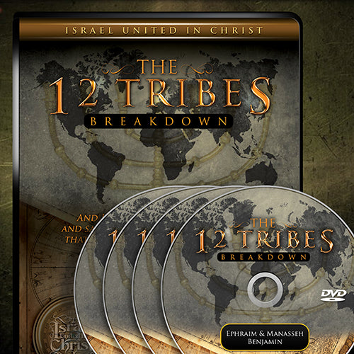 12 TRIBES BREAKDOWN – Original Royalty