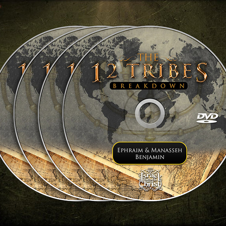 Original Royalty – Opening soon