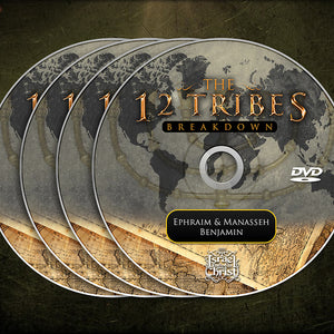 12 TRIBES BREAKDOWN – Original Royalty